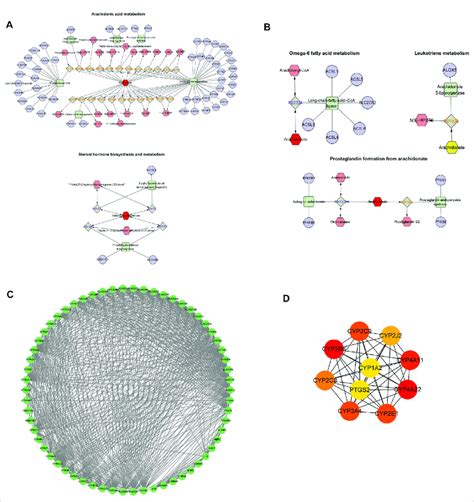 Core Genetic Screening For The Interaction Of Metabolic Biomarkers And