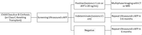 Aasld Algorithm For Hcc Surveillance Aasld American Association For