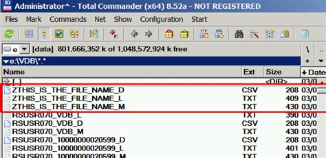 How To Define A Custom Fixed Naming Convention For Flat File Export In Background Jobs Virtdb
