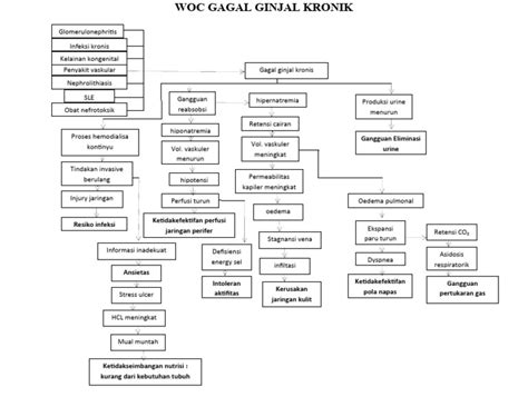 Woc Gagal Ginjal Kronik Pdf