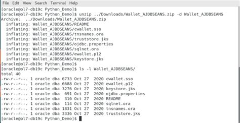 How To Use Json Soda Python And Oracle Autonomous Json Database