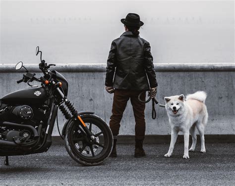 Github Supervisely Ecosystem Keypoints Labeling Example