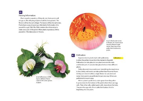 Pollination Interactive Worksheet Live Worksheets