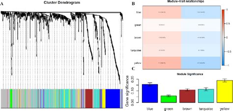The Results Obtained By Wgcna In Ovarian Cancer Dataset From Tcga A Download Scientific