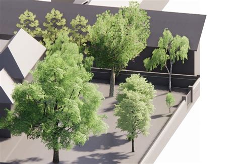 Bim For Arboriculture Treework Environmental Practice