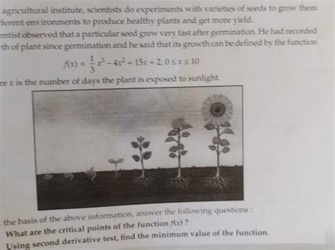Agricultural Institute Scientists Do Experiments With Varieties Of Seeds