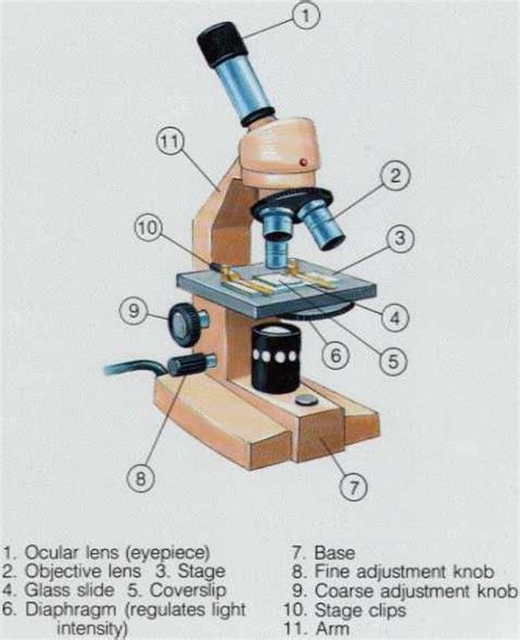 Materials Science And Technology Dictionary
