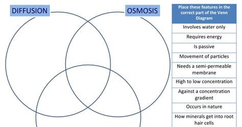 Understanding The Similarities And Differences Between Osmosis And