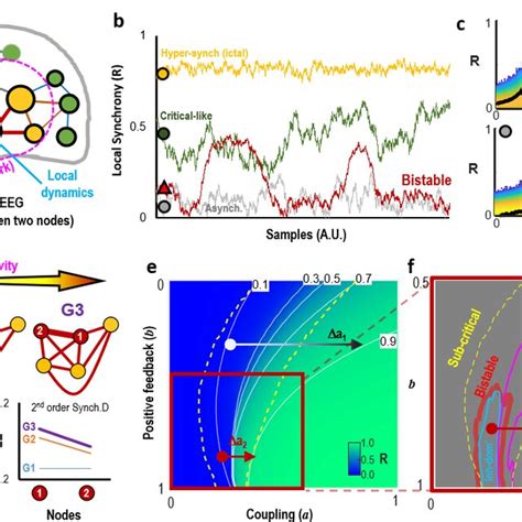 hypothesis aberrant local criticality and elevated large scale