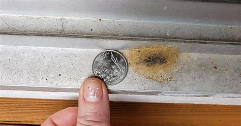 Weird Cocoon Album On Imgur