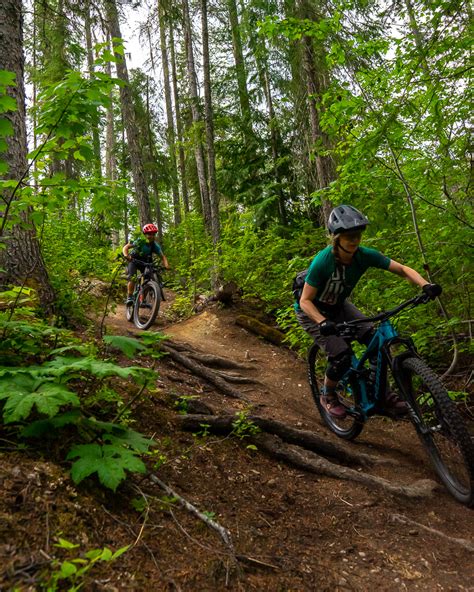 Homepage Shred Sisters