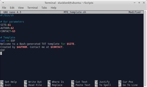 come creare script modello txt in bash moyens i o