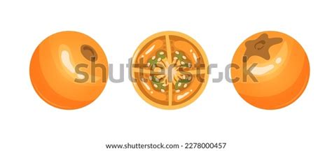 Lulo Fruit Vector Set Juicy Naranjilla Stock Vector Royalty Free 2278000457 Shutterstock