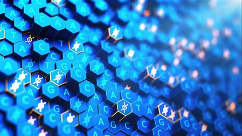 47 Genomic Patterns Stock Videos Footage And 4k Video Clips Getty Images