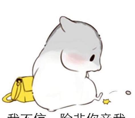 一波可爱小鼠表情包，萌翻你的表情，赶紧秀出来吧？小鼠表情包可爱新浪新闻