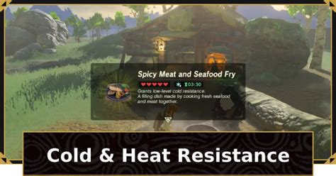 Botw Cold And Heat Resistance How To Get And Use Zelda Breath Of