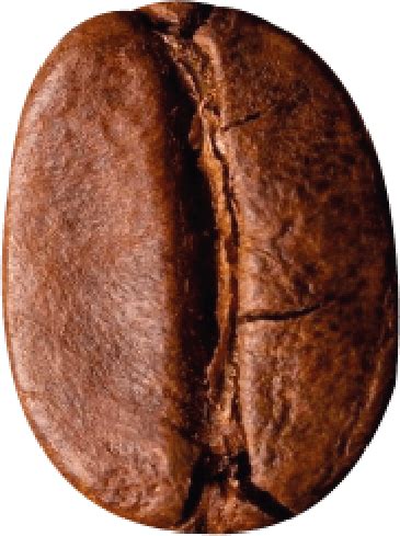 Organic Coffee Evalar: все товары из серии