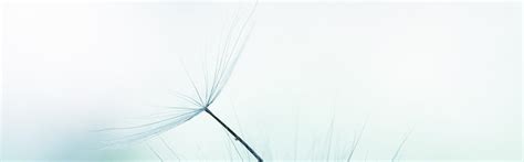 Eu Hta Regulation Jca In Practice From Procedure To Evidence