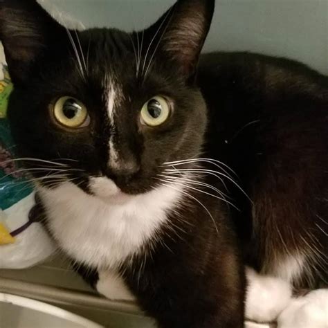 Brittney Thacker Facebook