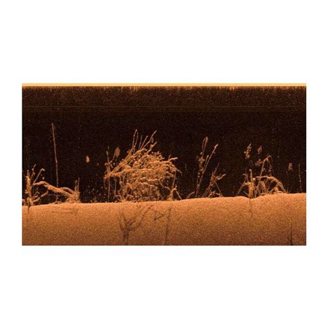 Garmin Gcv20 Ultra High Definition Scanning Sonar Black Box For Clearvu And Sidevu West Marine