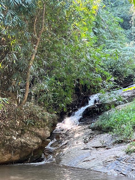 Rice Is Sacred Wat Pralad