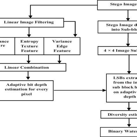 Block Diagram Of Watermark Decoder Download Scientific Diagram