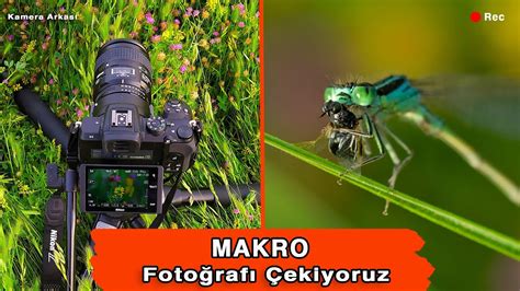 Makro Fotoğrafçılık Nasıl Yapılır Makro Objektifler Ve Kamera Arkası Macro Photography Youtube