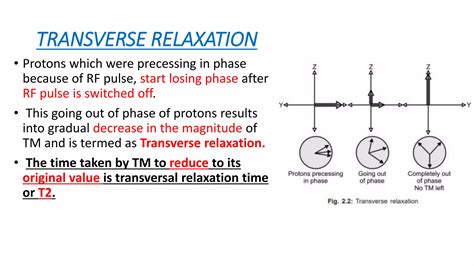Mri Basic Principles Pptx
