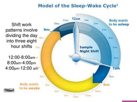 Ppt Disrupting Biological Circadian Rhythms Shift Work Powerpoint Presentation Id 5625066