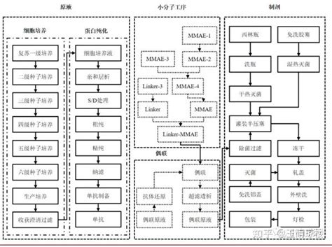 Adc药物cmc策略 知乎