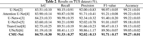 Cmu Net A Strong Convmixer Based Medical Ultrasound Image Segmentation