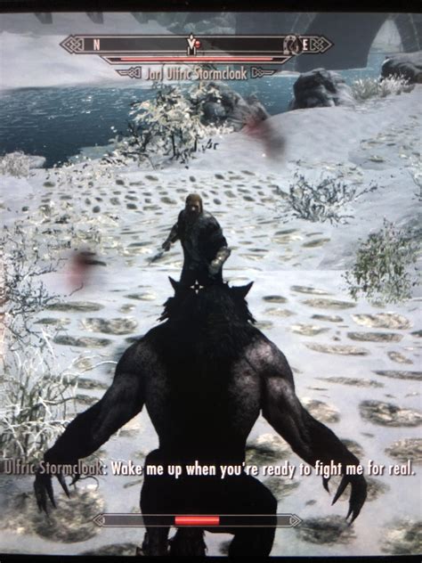 Was Running Outside Of Windhelm Doing Werewolf Thingsthen Attacked By