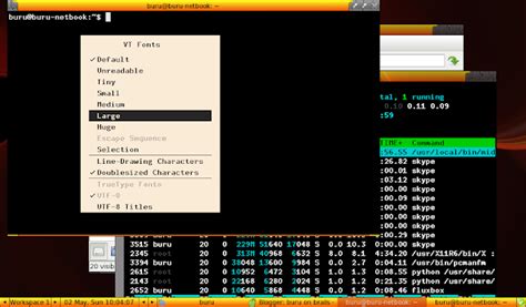 Buru On Brails How To Increase Default Xterm Font Size