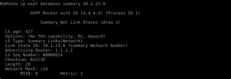 Top 11 Ospf Lsa Types Explained [2025]