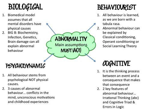 What Is The Difference Between Theory And Perspective