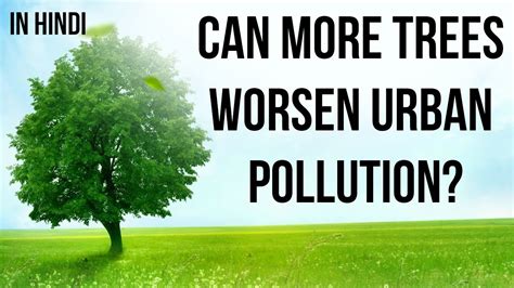 Tree Air Pollution Removal At Martha Holt Blog