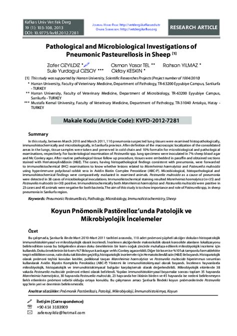 Pdf Pathological And Microbiological Investigations Of Pneumonic Pasteurellosis In Sheep