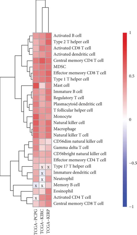 Correlation Between The Cgas Sting Sensor And Tiics In Kirc Kirp And Download Scientific