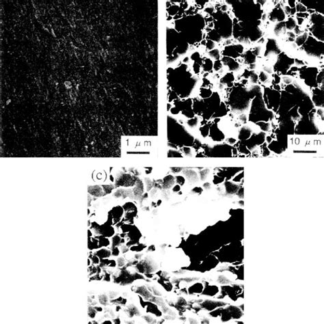 2 Scanning Electron Micrographs Of The Fracture Surfaces Of Cured