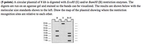 Solved 5 Points A Circular Plasmid Of 8 Kb Is Digested
