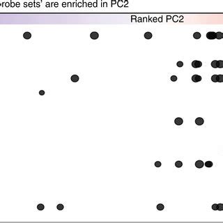 GSE Analysis Identifies Kinases Targeted By Probes Leading To Epidermal Download Scientific