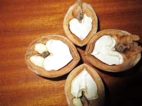 Solve Srdíčka Pro Všechny Jigsaw Puzzle Online With 30 Pieces