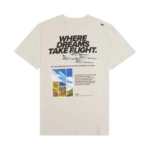 Mens Paper Planes Dream Valley Oversized Tee In Vapor Planet Shirts