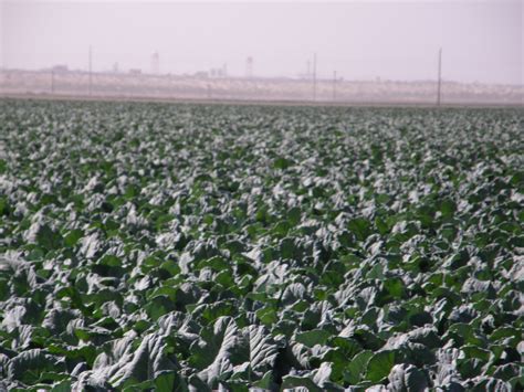 Rving To Fall Foilage The Romance And Sex Life Of A Date