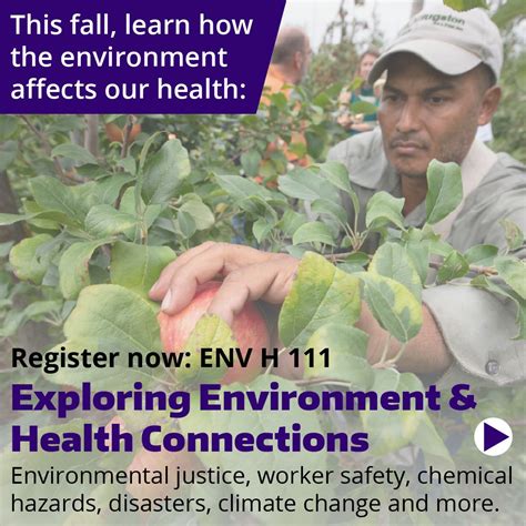 Department Of Environmental And Occupational Health Sciences At University Of Washington On