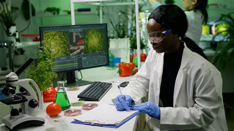 The Impact Of Genetic Engineering And Biotechnology In Agriculture In