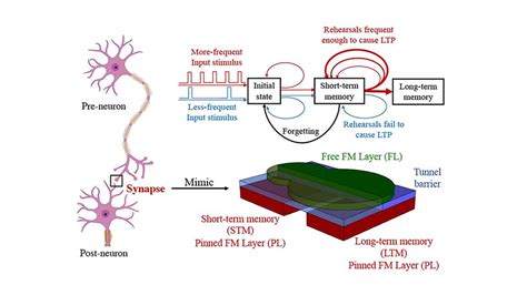 Short And Long Term Memory Functions Are Mimicked Through Artificial