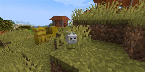 Best Cat Skins In Minecraft