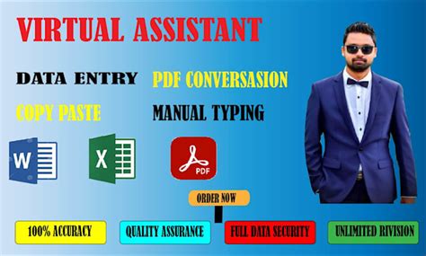 Data Entry Excel Typing Copy Paste Work By Slsahanmax Fiverr