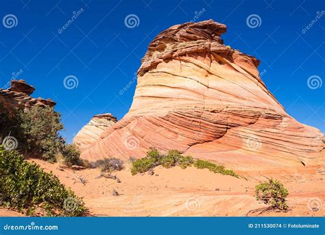 Coyote Buttes Sur Foto De Archivo Imagen De Anaranjado 211530074